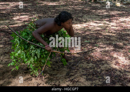 DABANA, SRI LANKA - CIRCA DECEMBER 2016: Vedda men tribal drawings and ...