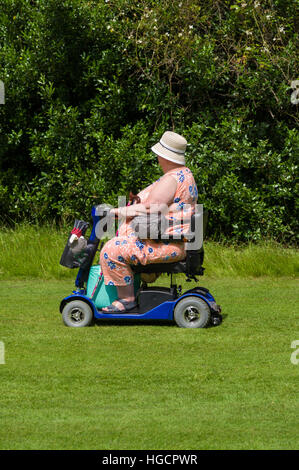 Fat woman on invalid cart Stock Photo - Alamy