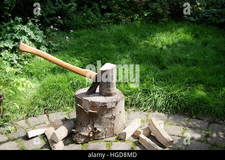 A lumberjack axe in a chopping block with split firewood around it ...