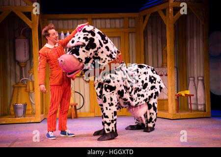 A traditional pantomime cow in an amateur AmDram theatre company dress ...