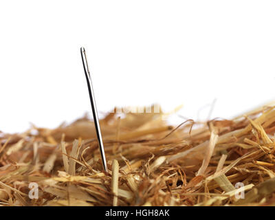 Needle in a Hay Stack Stock Photo - Alamy
