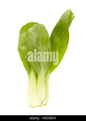 fresh organic pak choi on a white background Stock Photo - Alamy