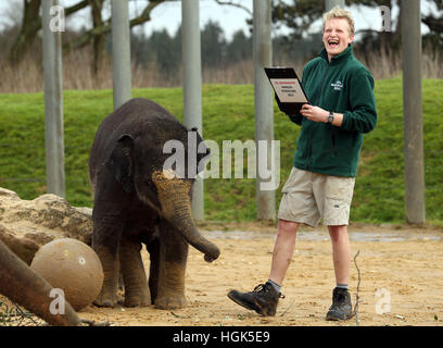 Zookeeper Shane Bewson counts Elephants during the annual stocktake at ...