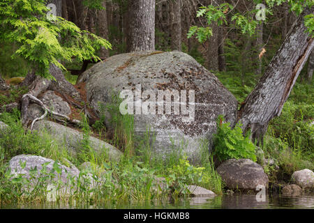 A boulder with grooves from Ice Age glaciers in Kejimkujik National ...