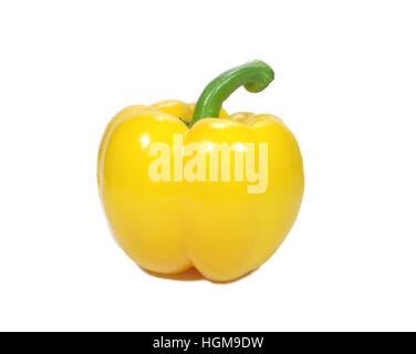 Single fresh yellow bell pepper with green stem isolated on grey ...