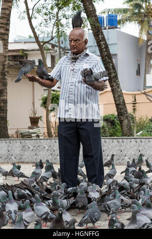 Feeding pigeons, Jain Temple, Cochin, Kochi, Kerala, India Stock Photo ...
