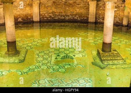 ancient flooded crypt with floor mosaics in Italy Stock Photo - Alamy