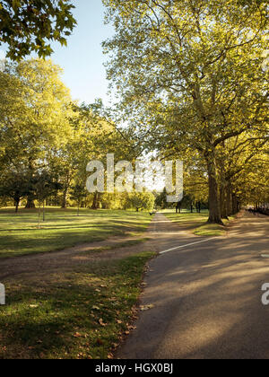 A field day in Hyde Park , Parks, Spectators, Soldiers, Shooting ...