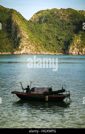 The wonderful Halong Bay, Unesco world heritage in Vietnam Stock Photo ...