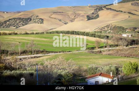 puglia's rural landscape,italy Stock Photo - Alamy