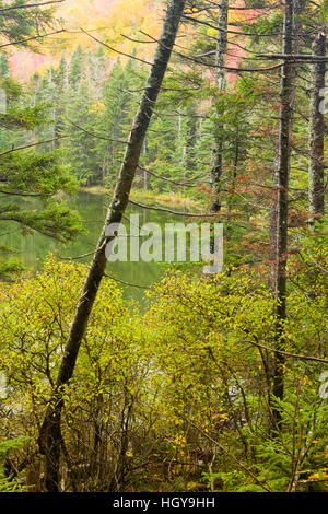 Ammonoosuc Lake in fall in New Hampshire's White Mountains. White ...