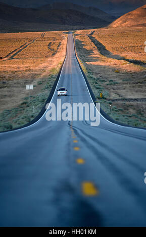 Middlegate, Nevada, USA. 13th July, 2016. Russ Stevenson smiles as he ...
