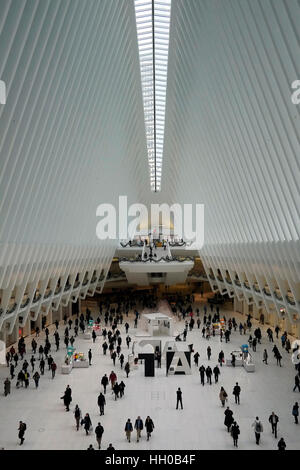 Interior of the Oculus part of the transportation hub at the World ...