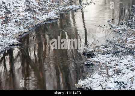 Small stream in winter forest Stock Photo - Alamy