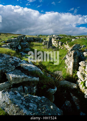 Wag of Forse, Caithness: an Iron Age long house (12m) with the remains ...