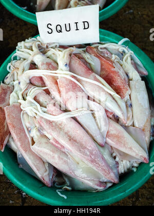 fresh seafood - raw fresh squid seafood at the thai market , Cuttlefish ...