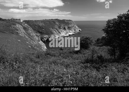 Summer, cliffs at Berry Head National Nature Reserve, Torbay, English ...