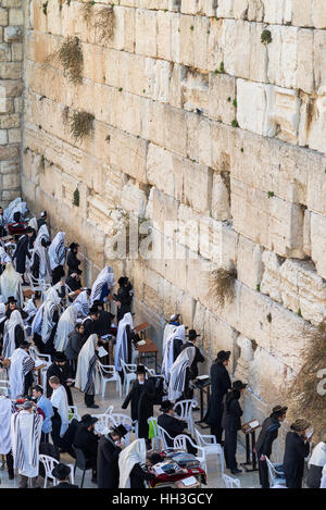 Israel, Jerusalem, Western Wall, A Hasidic Jewish man in his ...