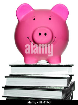 Pink Piggy Bank on a pile euro banknotes Stock Photo - Alamy