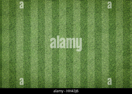 Top view stripe grass soccer field. Green lawn with white lines pattern ...