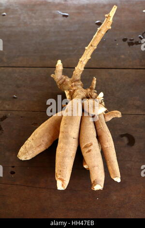Fresh Organic Cassava Root, Manioc Esculenta, yuca On purple Background ...