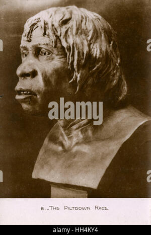 Reconstruction of the Piltdown Man (Eoanthropus dawsoni) skull, as ...