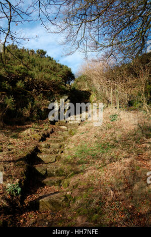 Path to Binny Craig, West Lothian, Scotland Stock Photo - Alamy