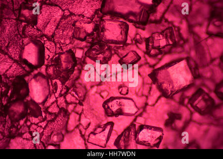 The Microscopic World. Fruit jelly under the microscope Stock Photo - Alamy