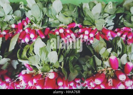 Processed with VSCO with f2 preset Stock Photo - Alamy