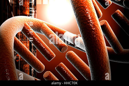 education, medicinally, medical, graphics, colour, science ...