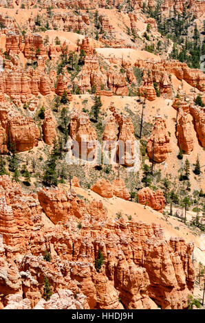 environment, enviroment, sunrise, america, highland, environment ...