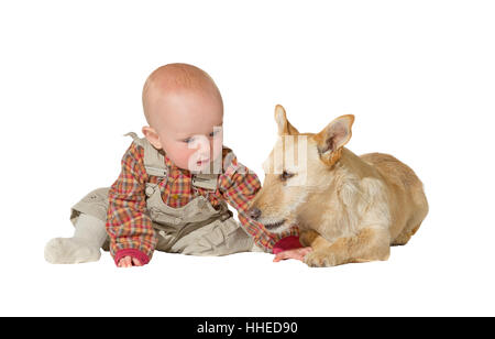 The baby is 4 months old and is being played. Selective focus. people ...