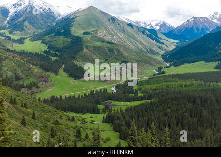 Beauty view in mountains of Altai Stock Photo - Alamy