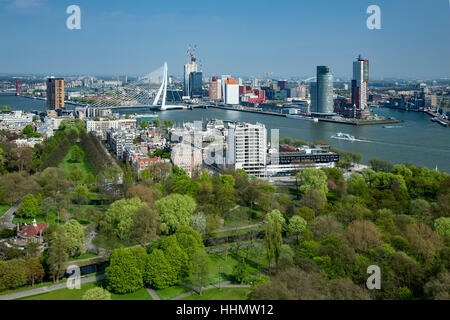 Nieuwe Maas River, Erasmus Bridge and Skyline, Rotterdam, South Holland ...