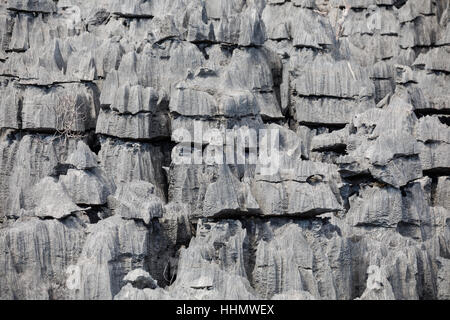 Curiously strange rock formations of fantastically eroded limestone ...