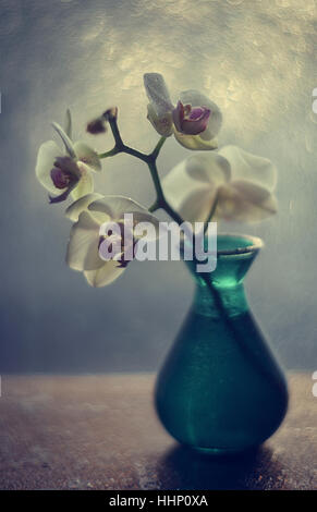 A vertical shot of blooming orchid flowers in the greenery Stock Photo ...
