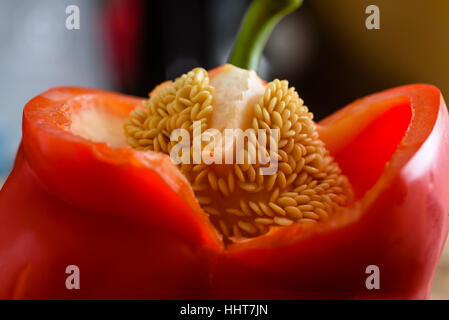 Red bell capsicum pepper opened up. Seeds and an internal proliferation ...