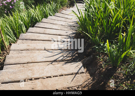 stairway, staircase, stairs step and bush in garden Stock Photo - Alamy