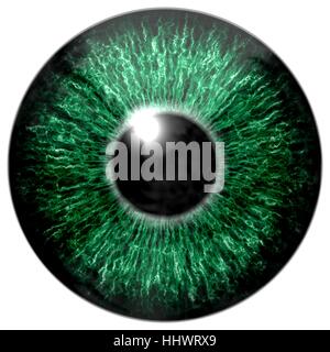 Sharp attractive deep eye texture Stock Photo - Alamy