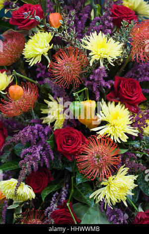 Floral arrangement of bright colored flowers for gardening background ...