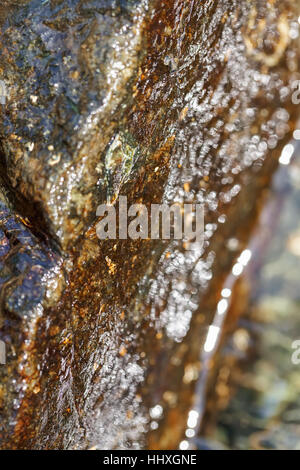 stone under the mountain water, note shallow depth of field Stock Photo ...