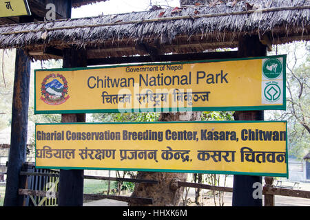 Nepal, Chitwan National Park, Gharial (Gavialis gangeticus) enclosures ...