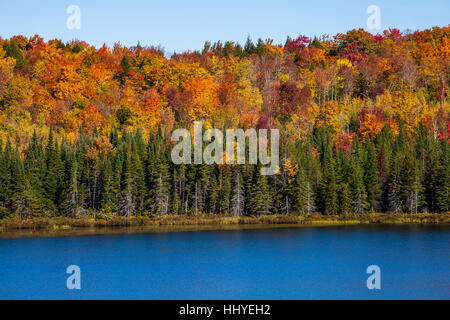 Mixed forest, lake, Eastern Townships, South Bolton, Quebec, Canada ...