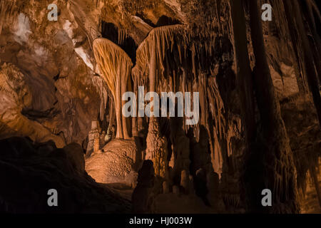 The Parachute, a cave shield formation with draperies in Lehman Caves ...