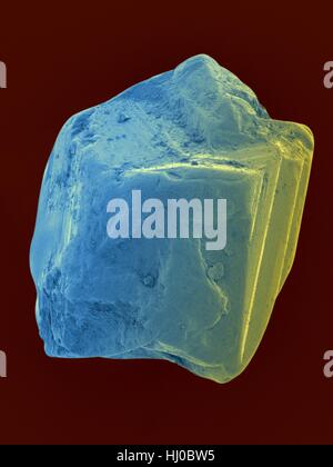The components of a scanning electron microscope (SEM Stock Photo - Alamy