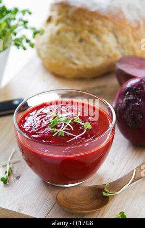 food, aliment, winter, gastronomy, purple, kitchen, cuisine, boil ...