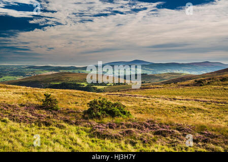 View northwards across the Golden Vale of Tipperary towards Slievenamon ...