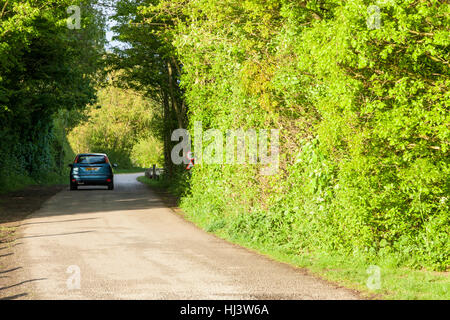 A narrow British country road in Shropshire, UK Stock Photo - Alamy