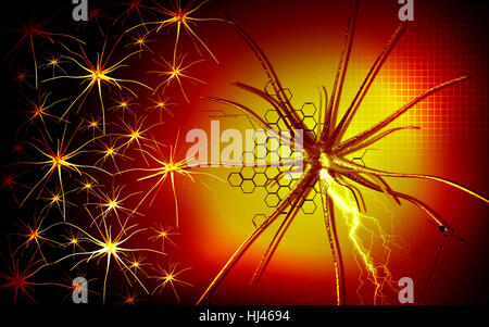 education, medicinally, medical, graphics, colour, science ...