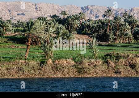 Nile River Delta, Egypt Stock Photo - Alamy